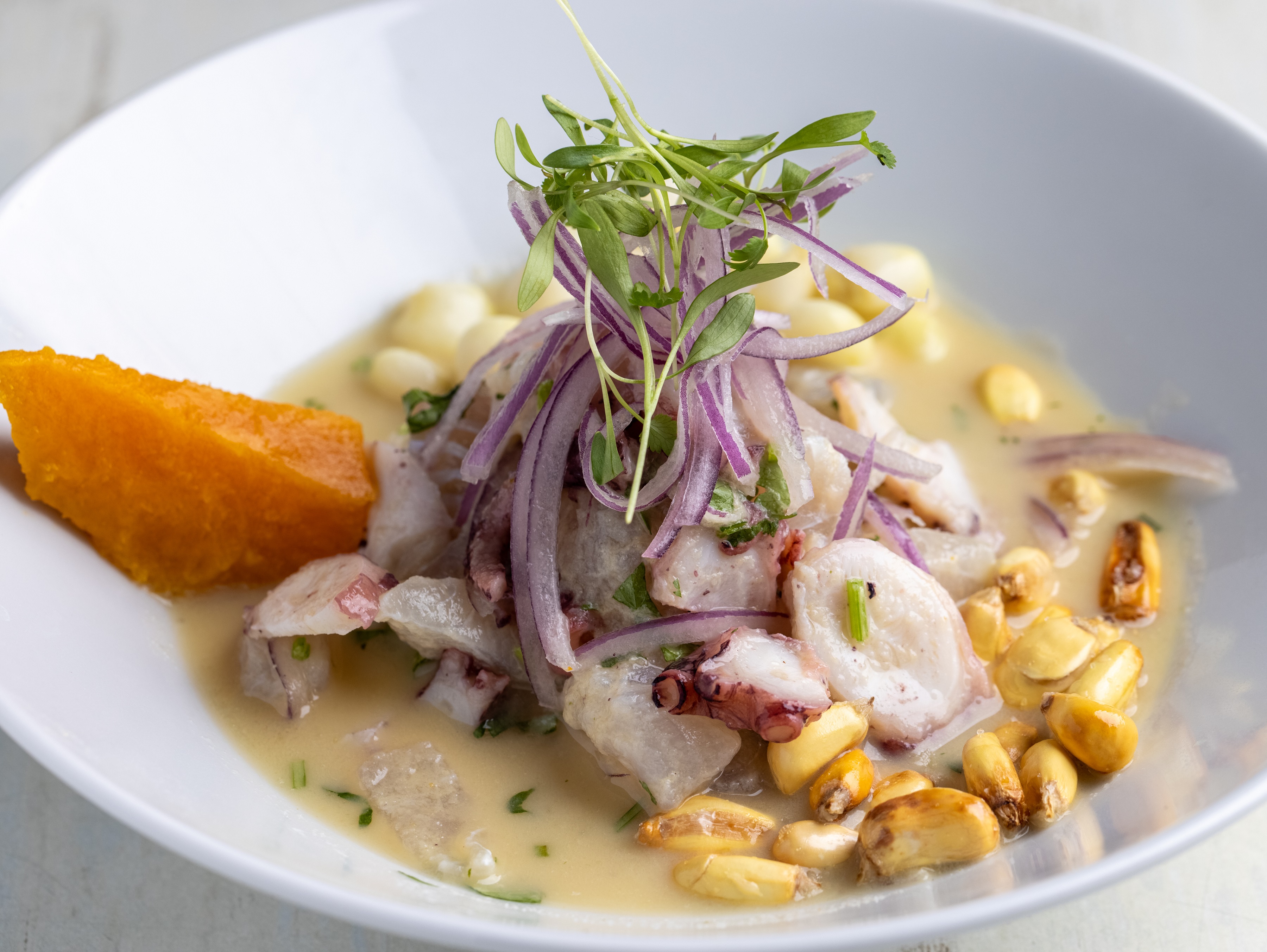 El Pollo Inka menu in Miami FREE delivery and pickup orders